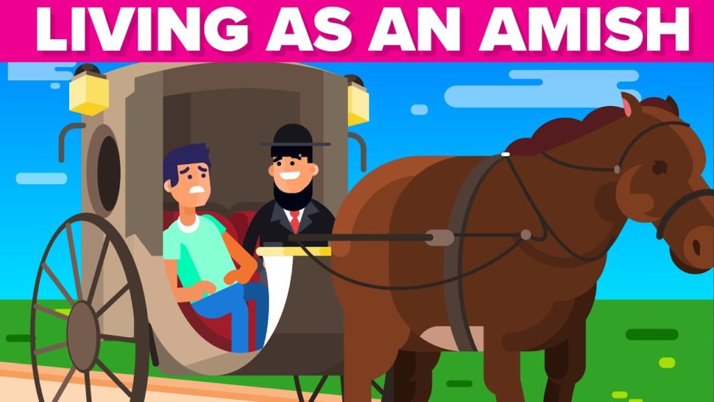 Video Infographic : A Day in the Life of an Amish Person – Infographic ...