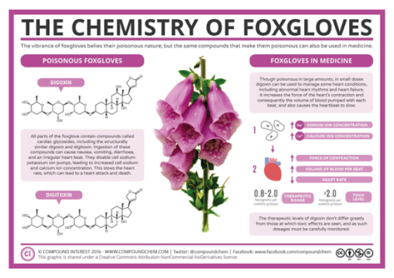 Graph : It’s foxglove season! These garden plants contain digoxin ...