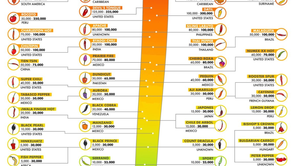 Visual : Genre identification - Infographic.tv - Number one ...