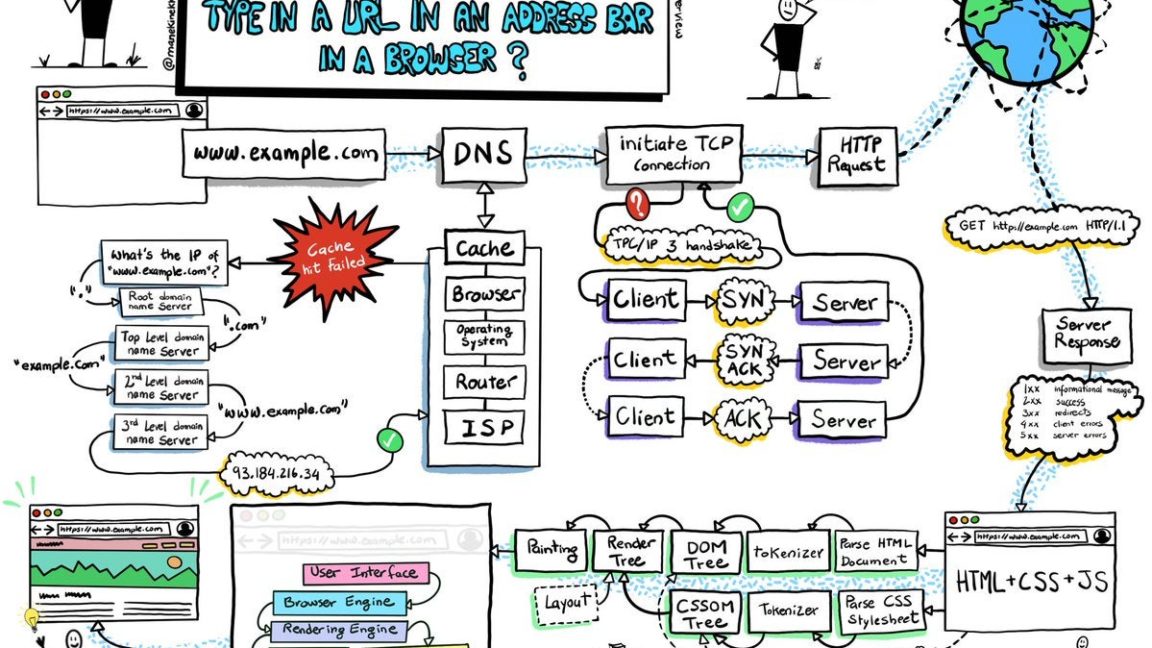 data visualization : [request] Real chart showing the percentage of ...