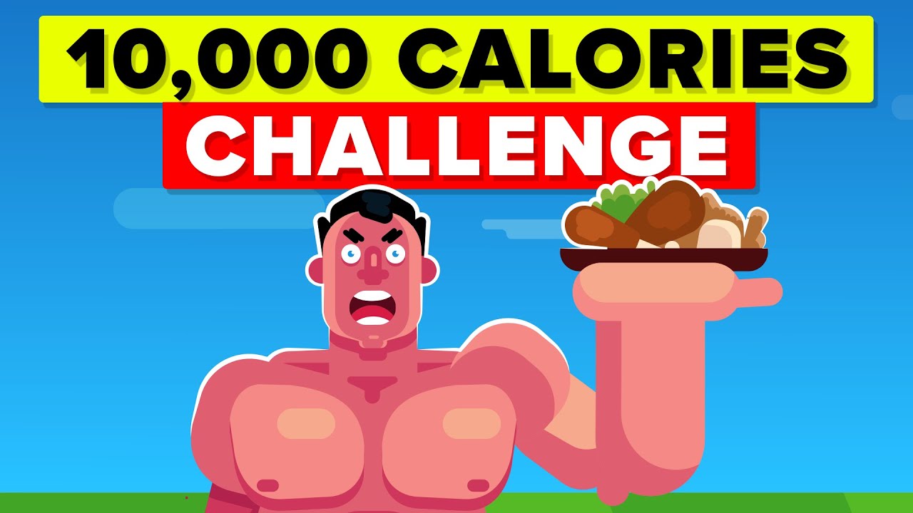 Video Infographic : Eating 10,000 Calories a Day for 1 Week - Food ...