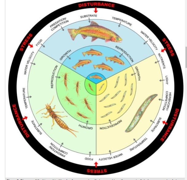 Chart : How to draw a chart like this? – Infographic.tv – Number one ...