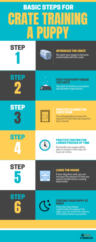 Graph : Basic Steps for Crate Training a Puppy [INFOGRAPHIC]Do you want ...