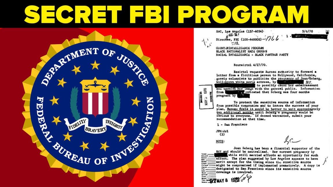 Video Infographic : COINTELPRO The Secret FBI Program – Explained ...