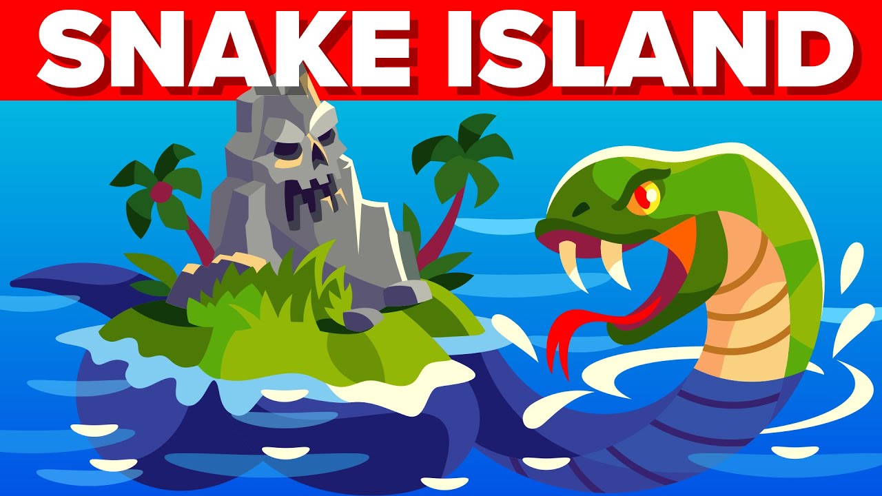 Video Infographic : Most Dangerous Place on Earth - Snake Island ...