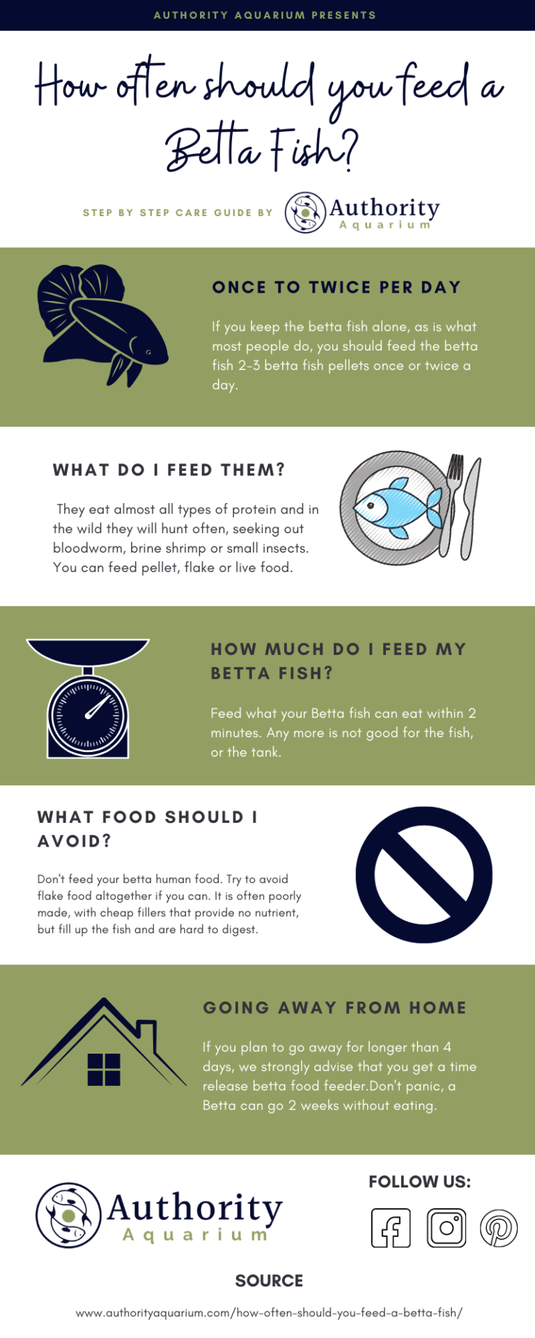 Graph : How much should you feed a betta fish? - Infographic.tv ...