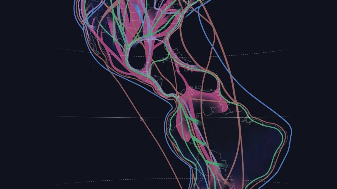 Visual : A guide to different birds’ wing shapes – Infographic.tv ...